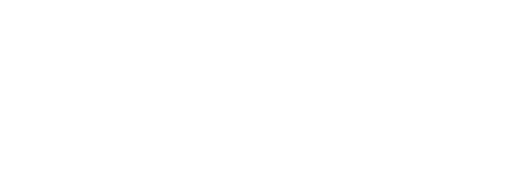 copt-logo-white | CNet Training