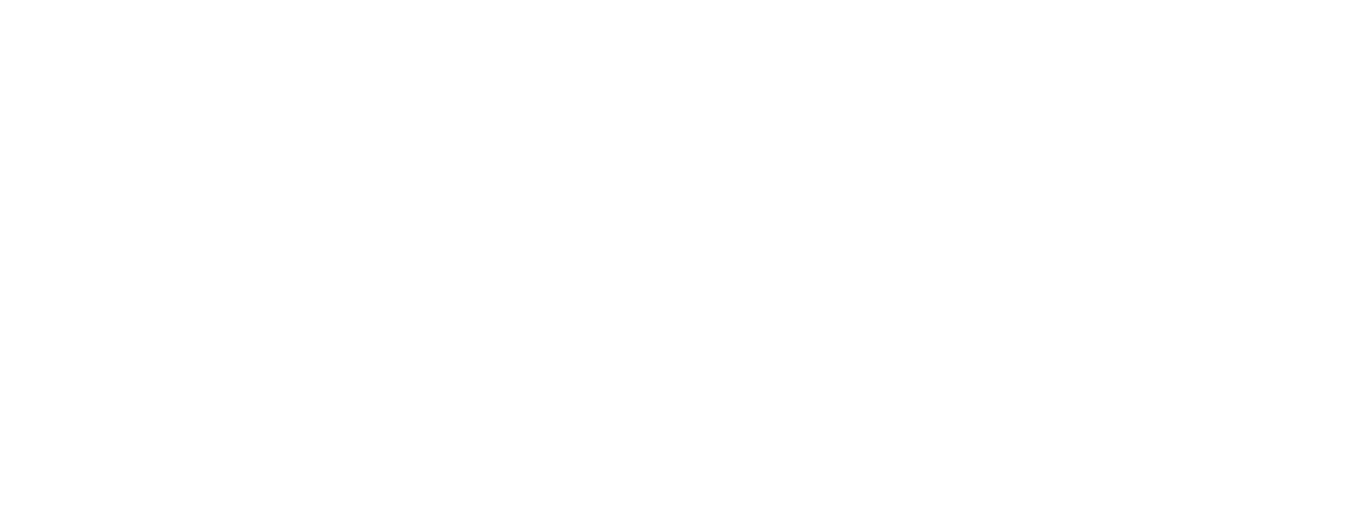 copt-logo-white | CNet Training